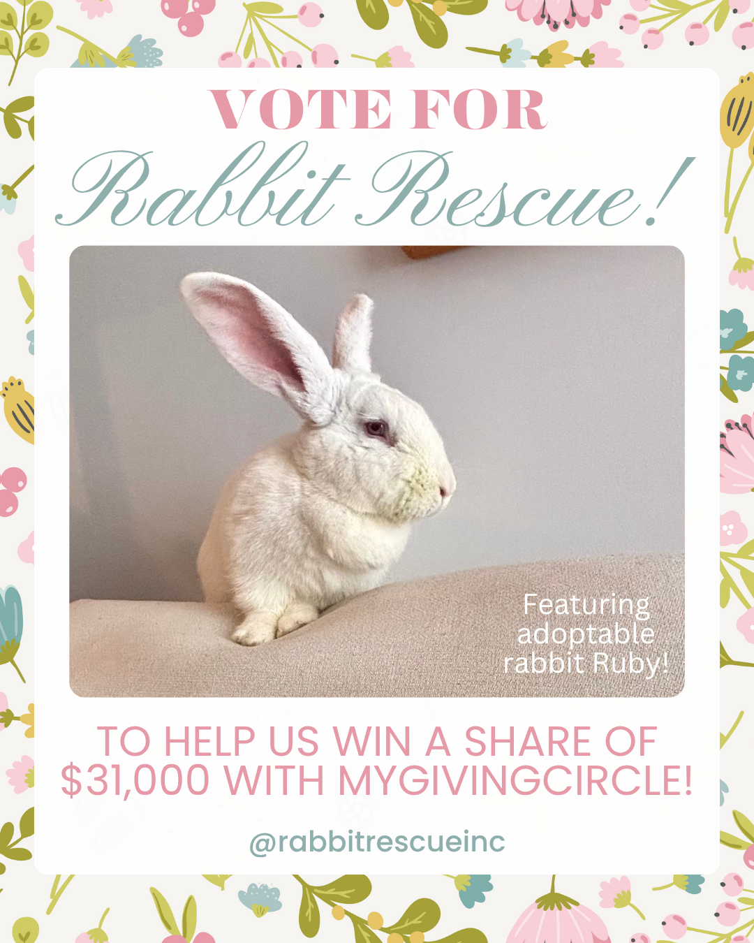 Rabbit Rescue | Providing homes for Ontario's rabbits… One bunny at a time!