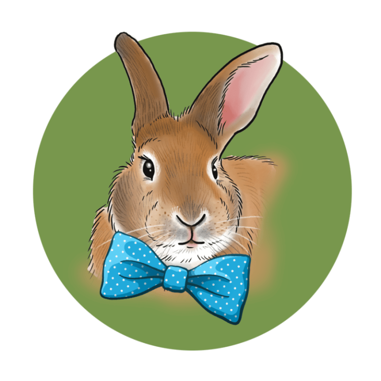 Adopt - Rabbit Rescue